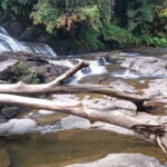 Sinharaja Rainforest: Tour with 5 Waterfalls Trek - Is It Worth the Price?