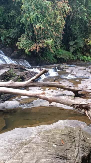 Sinharaja Rainforest: Tour with 5 Waterfalls Trek - Is It Worth the Price?
