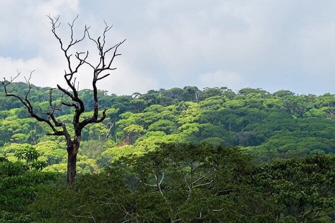 Sinharaja Rainforest Trekking All Inclusive Tour from Hambantota - Who Would Enjoy This Tour?