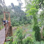 Sinharaja Rainforest Trip - Deep Dive Into the Itinerary