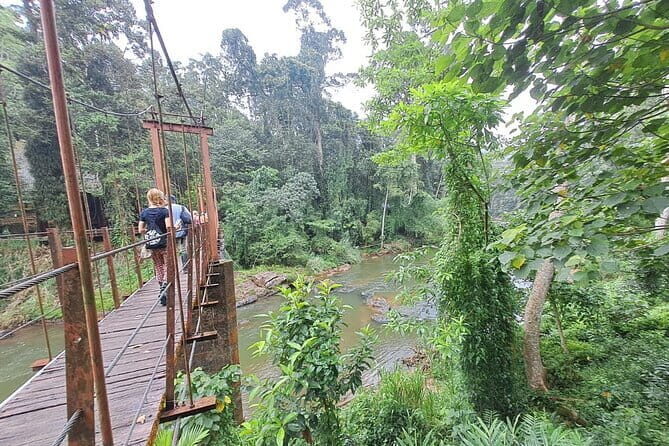 Sinharaja Rainforest Trip - Deep Dive Into the Itinerary