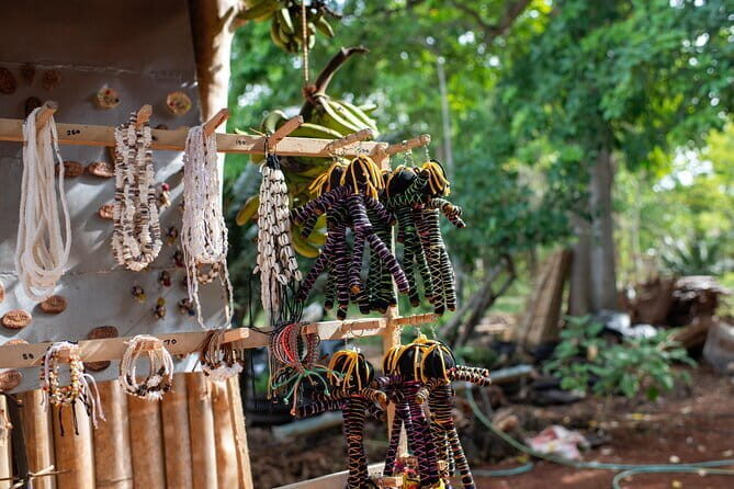 Siquijor Island Shared Tour - What Travelers Say