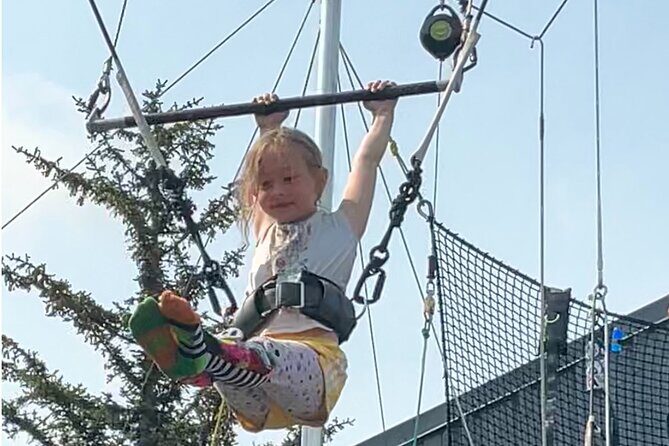 Skagway Flying Trapeze Historical and Swinging Adventure - Value and Pricing