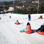 [SKI Tour] Over night tour - Daily - What’s Included and what’s not