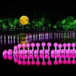 Skip the Line: Impression West Lake Show Presidential Seat Ticket - Who Would Enjoy This Tour?