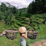 Skip-the-Line: Ubud Tour - All Inclusive Tickets - What to Expect from This Ubud Tour