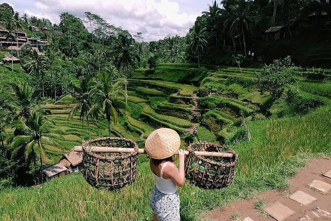 Skip-the-Line: Ubud Tour - All Inclusive Tickets - What to Expect from This Ubud Tour