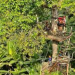Sky Hawk Zipline Experience in Chiang Mai - Final Thoughts