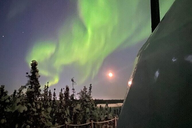 Skydome Aurora Viewing - Who Will Love This Tour?