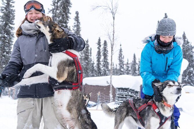 Sledding and Homesteading Adventure - Final Thoughts