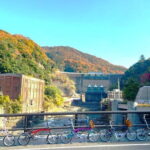 Slow Cycling Tour at Uji's Matcha Green Tea Fields and Heritage - Frequently Asked Questions