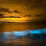 Small Group Bioluminescent Canoe&Twilight Adventure Phang Nga Bay - What You’ll Love About This Tour