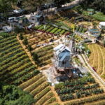 Small Group Cebu City And Uphill Mountain Tour - An Overview of the Itinerary