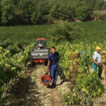 Small Group Chianti Wine Tasting with Seven Tuscan Wines - In-Depth Look at the Itinerary