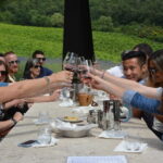 SMALL GROUP Experience Cheese & Chianti visit dairy & 3 wineries - The Itinerary in Detail