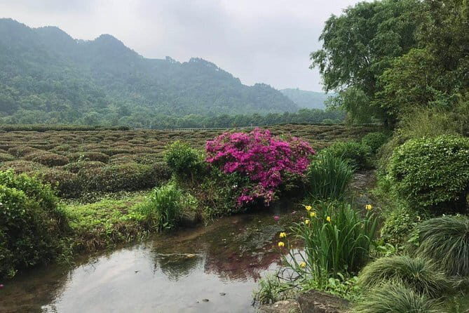 Small group: Hangzhou Full-day Classic Tour with Bullet Train from/to Shanghai - Transportation & Group Size: Why It Matters