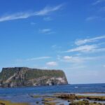 Small Group Jeju island Private Mini-Bus Tour - What Travelers Say: Authentic Experiences and Good Value