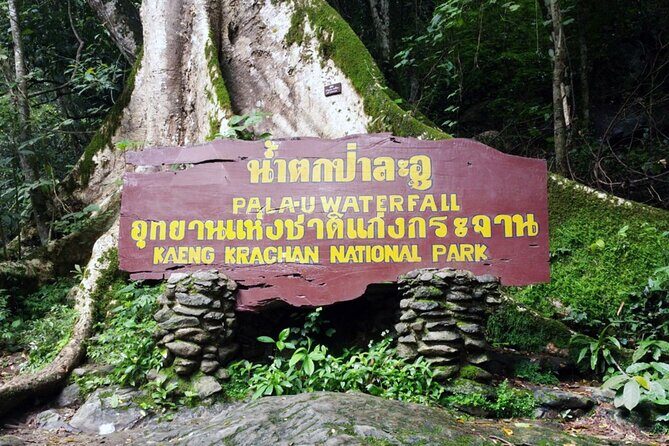 Small-Group Pala U Waterfall Jungle Tour from Hua Hin - An In-Depth Look at the Tour