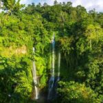 Small-Group Sekumpul Waterfall Jungle Trek with Lunch - The Practical Side: What You Need to Know