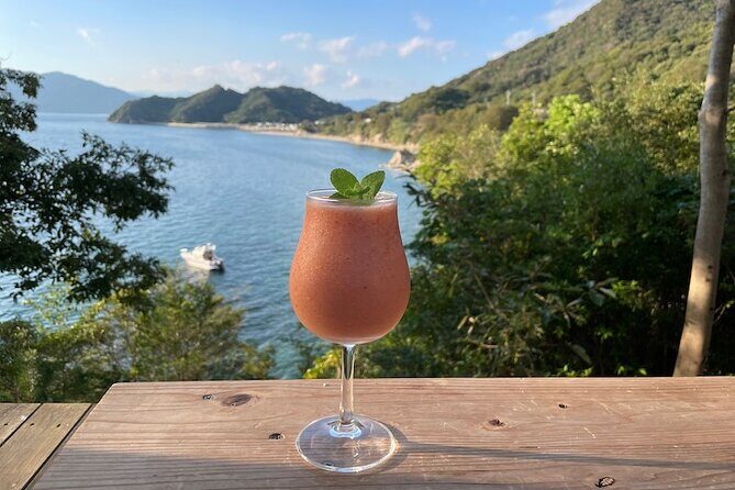 Small Group Tour in Miyajima from Miyahama Onsen - What Does the Price Cover? Is It Worth It?