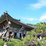 Small Group Tour of Busan Highlights by licensed tour guide - The Pros and Cons
