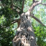 Small Group : Trekking Trip in Chiang Mai (Doi Suthep Area) with Market Tour - Who Will Especially Enjoy This Tour?