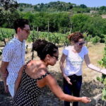 Small-Group Vernaccia di San Gimignano Wine Tour - White and Red Wines - What You Get with This Tour