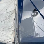 Small Private Catamaran Sunset Tours in San Diego - The Experience: Comfort, Views, and Wildlife