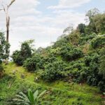 Smoke on the Water Trail Mountain Biking Tour Chiang Mai - Detailed Breakdown of the Itinerary