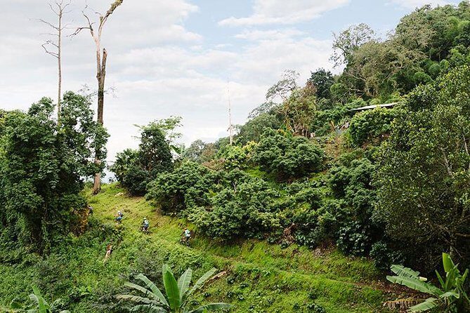 Smoke on the Water Trail Mountain Biking Tour Chiang Mai - Detailed Breakdown of the Itinerary