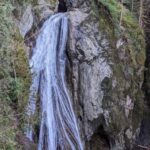 Snoqualmie, Twin Falls & Ancient Forest (Transport Included) - An Authentic Nature Escape Close to Seattle
