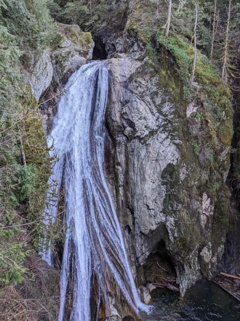 Snoqualmie, Twin Falls & Ancient Forest (Transport Included) - An Authentic Nature Escape Close to Seattle