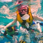 Snorkel and swim in Cozumel el Cielo Reef, Palancar and Colombia - The Practicalities: Price, Duration, and What’s Included