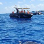 Snorkel and Swimming with Whale Shark in Cancun - The Itinerary Breakdown: What to Expect