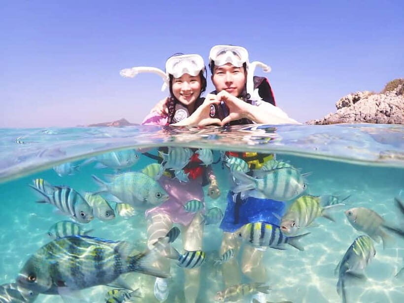 Snorkel & Chill: Nemo Island Trip from Pattaya - What the Experience Feels Like