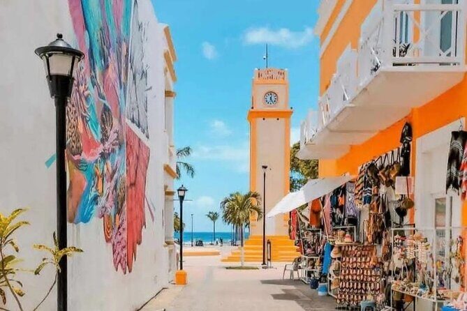 Snorkel in Paradise Cozumel El Cielito Palancar Reef Colombia - What the Tour Offers: A Closer Look