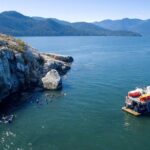Snorkel, Kayak, and Seal Adventure: Vancouver Boat Tour - Final Thoughts: Is It Worth It?