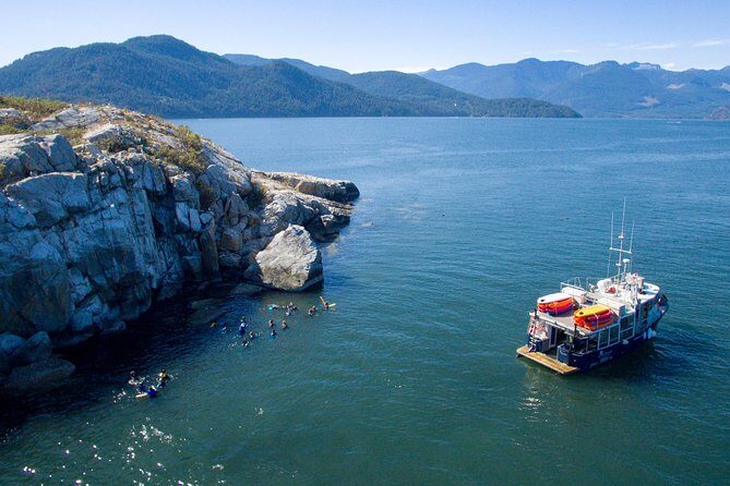 Snorkel, Kayak, and Seal Adventure: Vancouver Boat Tour - Final Thoughts: Is It Worth It?