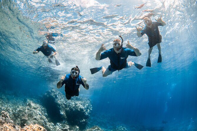 Snorkel with Turtles and Free Underwater Photos Lahaina - Final Thoughts