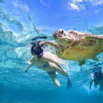 Snorkeling Activity in Okinawa Miyako Japan - What’s Included and What’s Not