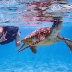 Snorkeling Activity in Okinawa Miyako Japan - Snorkeling Equipment and Wetsuits