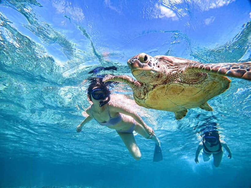 Snorkeling Activity in Okinawa Miyako Japan - What’s Included and What’s Not