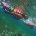 Snorkeling Adventure in Puerto Morelos Includes snack, Water and Round Trip. - The Private Beach Club and Tasting Experience