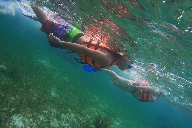 Snorkeling Adventure in Puerto Morelos Includes snack, Water and Round Trip. - The Private Beach Club and Tasting Experience