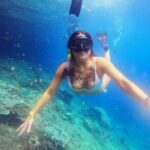 Snorkeling at Blue Lagoon & Tanjung Jepun All Inclusive - What Travelers Say