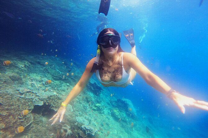 Snorkeling at Blue Lagoon & Tanjung Jepun All Inclusive - What Travelers Say