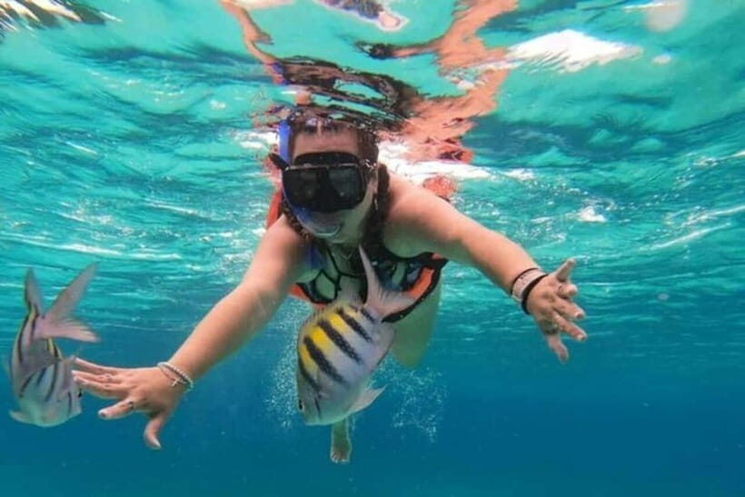 Snorkeling at Pigeon Island Trincomalee - Detailed Breakdown of the Experience