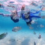 Snorkeling Blue Lagoon with lunch & waterfall - Practical Tips & Considerations