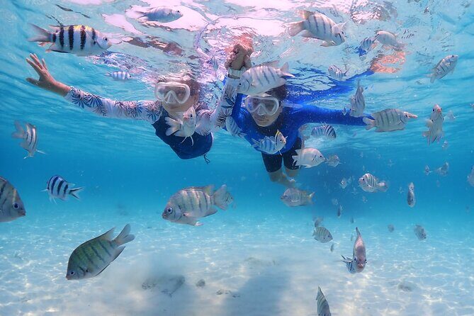 Snorkeling Blue Lagoon with lunch & waterfall - Practical Tips & Considerations