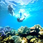 Snorkeling in Blue Lagoon Padang Bai Bali : Snorkel in the clear blue waters - Detailed Breakdown of the Itinerary